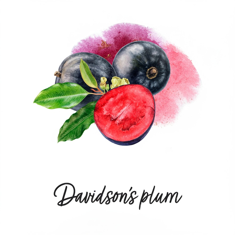 The Rich Traditions of Davidson’s Plum: Australia’s Unique Fruit ...
