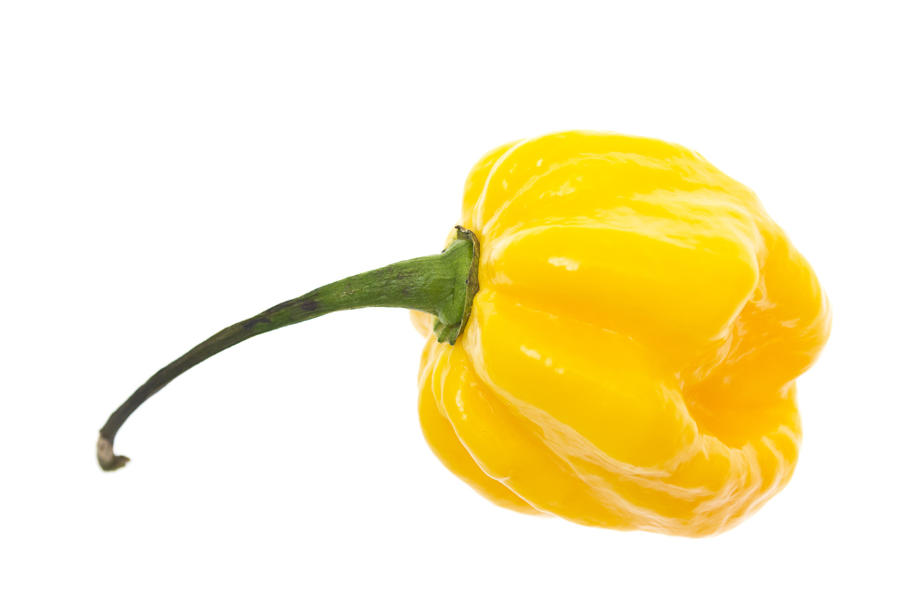 Bonnet Peppers: Caribbean Fire and Flavour - Kooks Secrets
